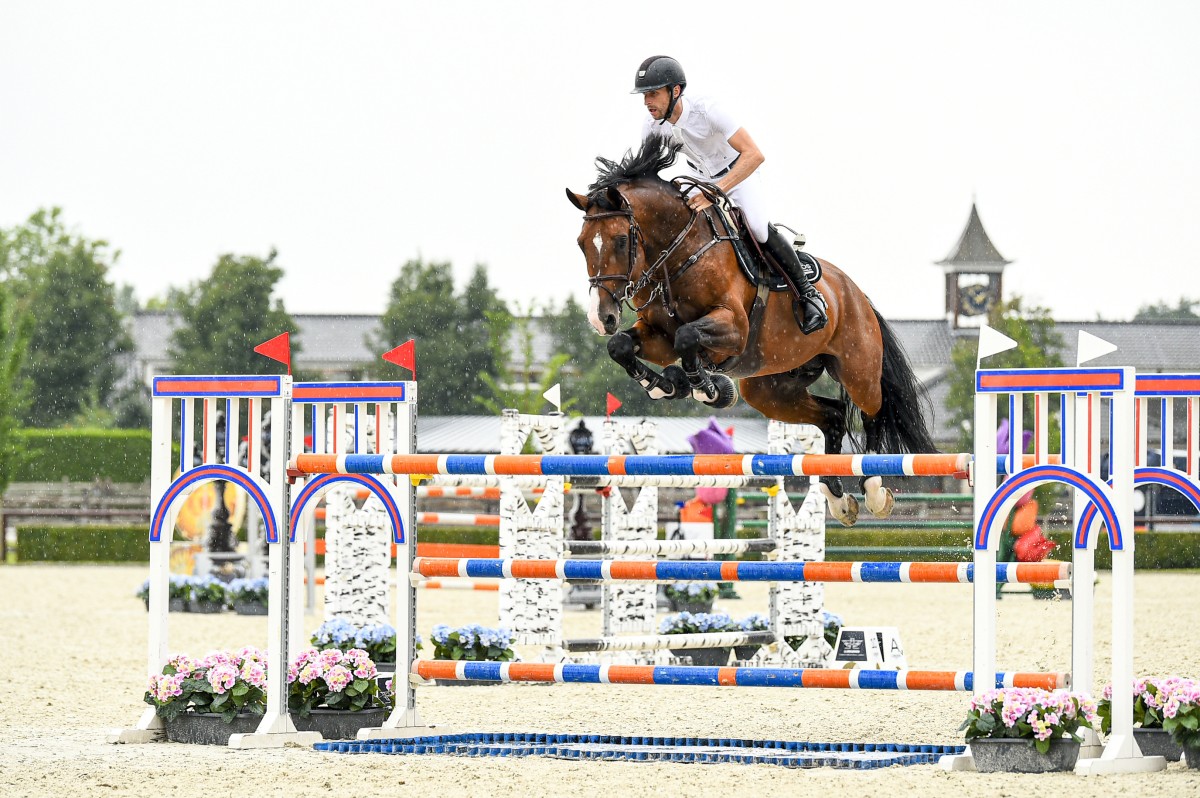 Devos Stables - Prestige van het Kluizebos