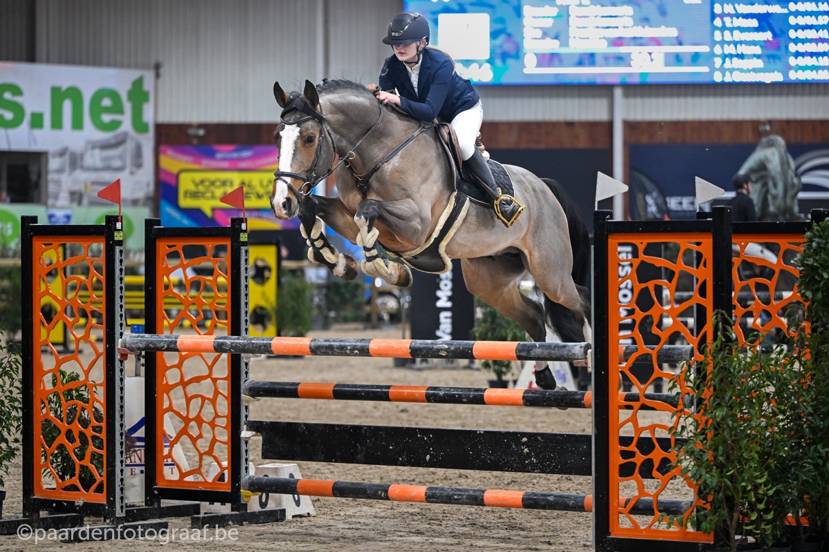 Devos Stables - Prestige van het Kluizebos